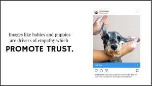 The Psychology Behind Social Media: 4 Core Emotions - Jemully Web & SEO